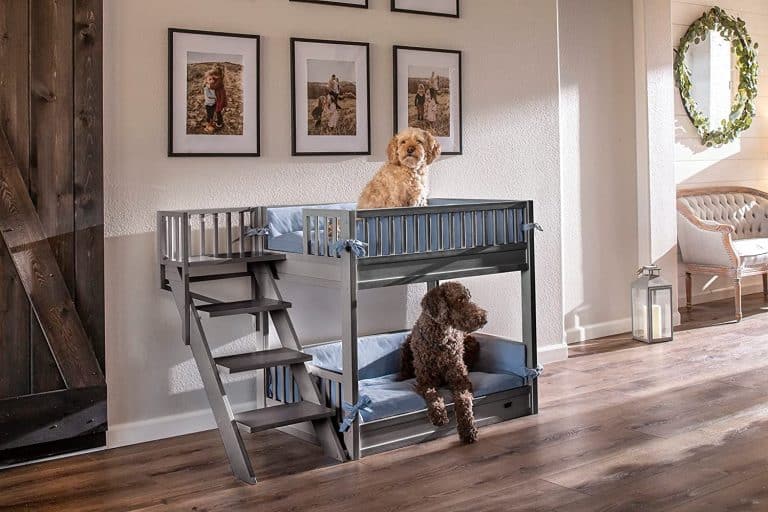 Barkitecture Pet-Friendly Interior Design - Design Morsels