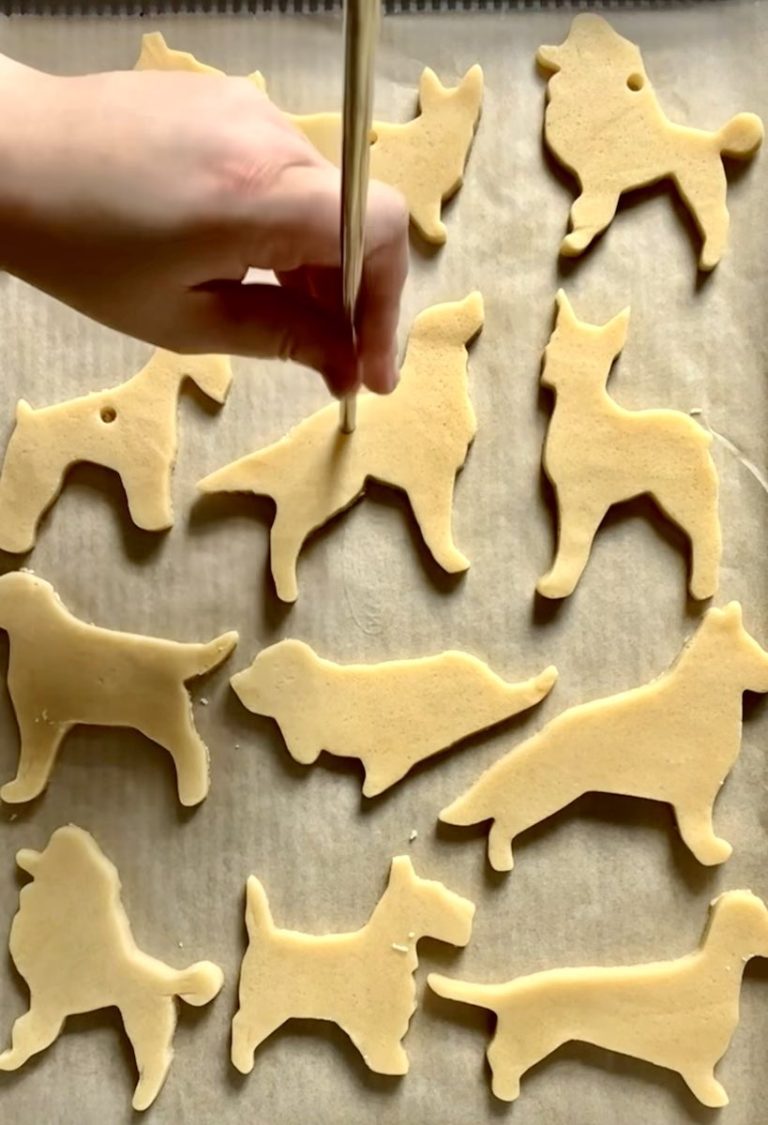 Dog Christmas Cookie Ornament Tutorial - Design Morsels