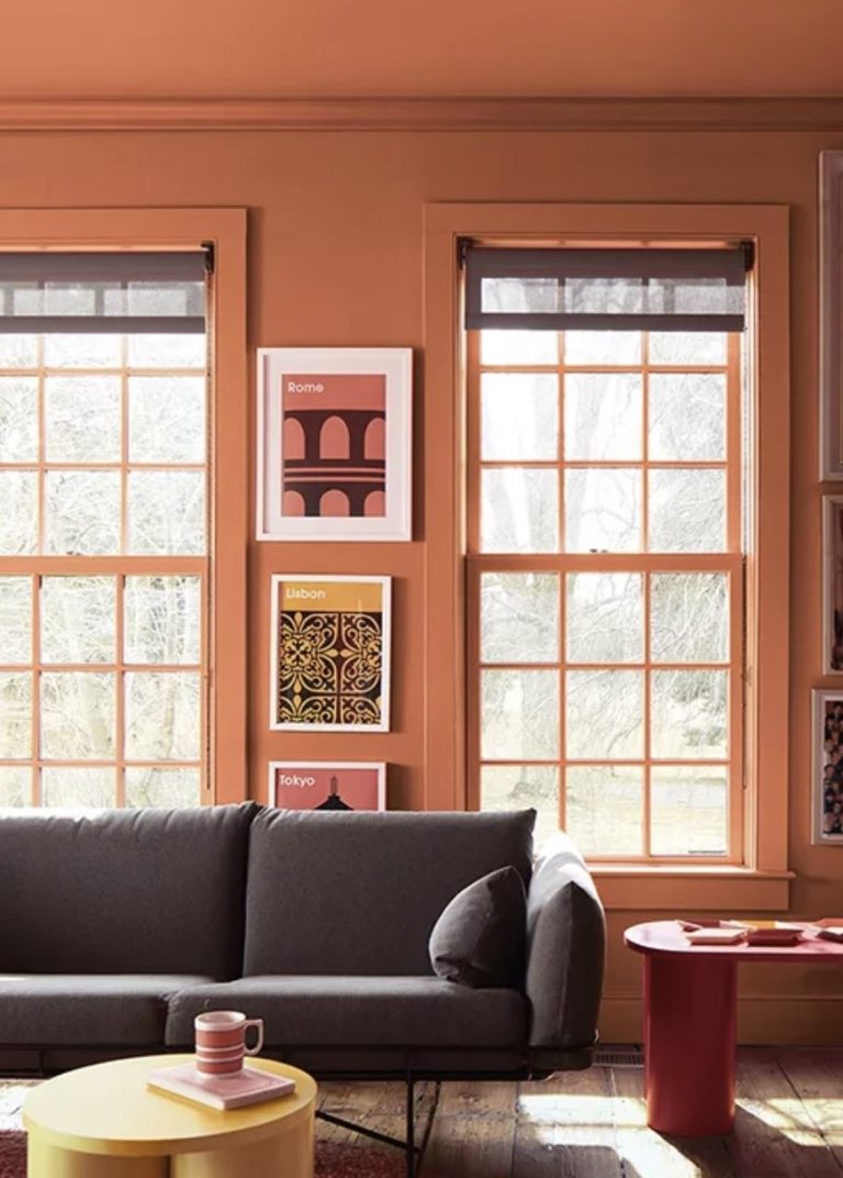 Unveiling 2024 Paint Colors! Dos and Don'ts - Design Morsels